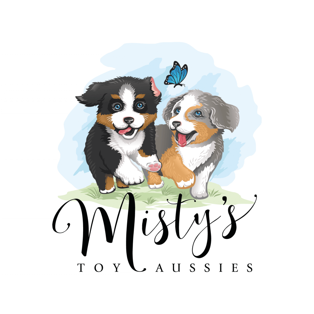 Toy Aussie & Mini Aussie Shepherd Puppy Breeder in Michigan